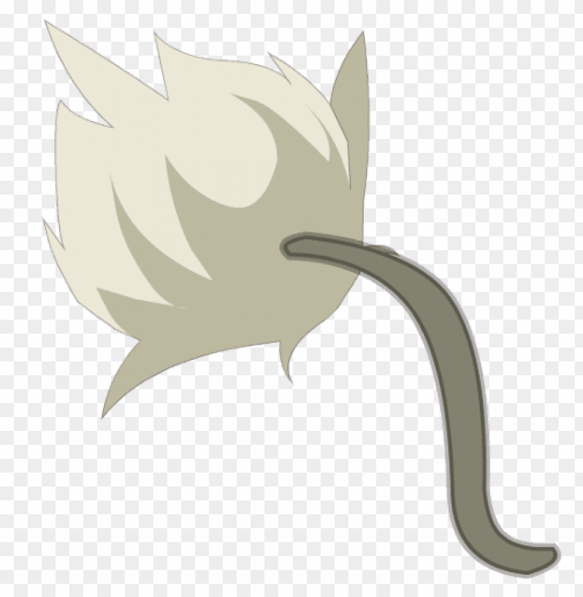 Free download | HD PNG tail PNG transparent with Clear Background ID ...