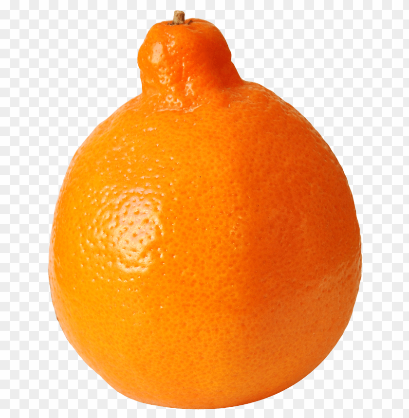 Free download | HD PNG whole orange with stem illustration | TOPpng