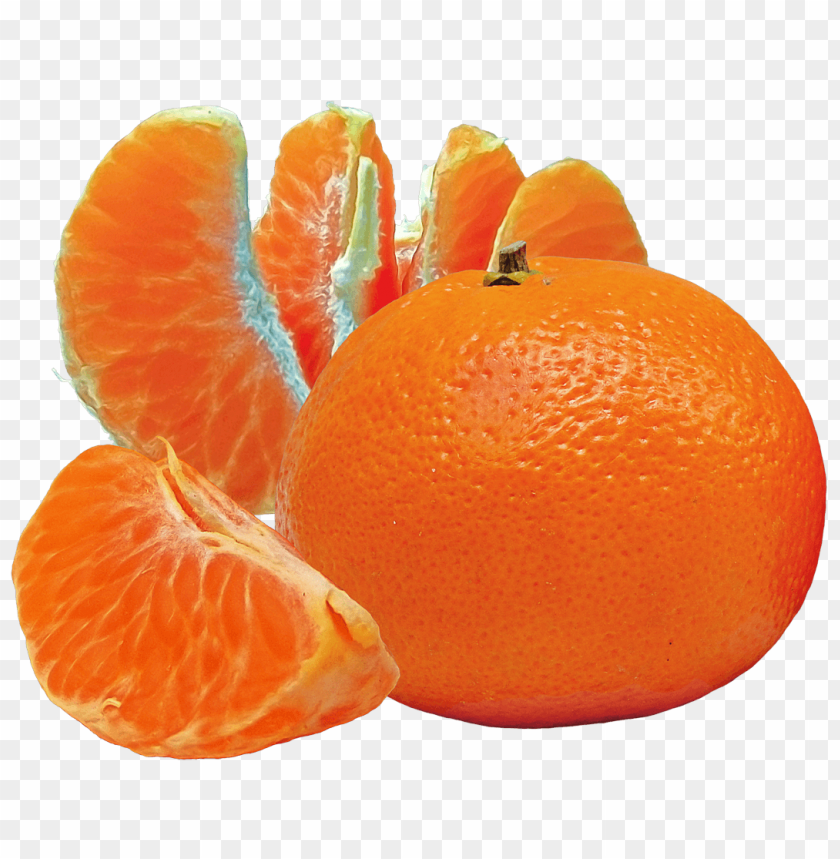 Free download | HD PNG peeled tangerine with segments vector | TOPpng