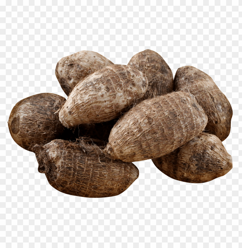 Free download | HD PNG Download taro png images background | TOPpng