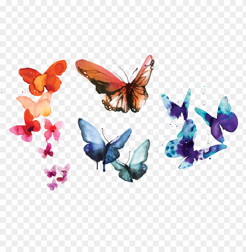 Free download | HD PNG tattly temporary tattoos watercolor butterflies ...
