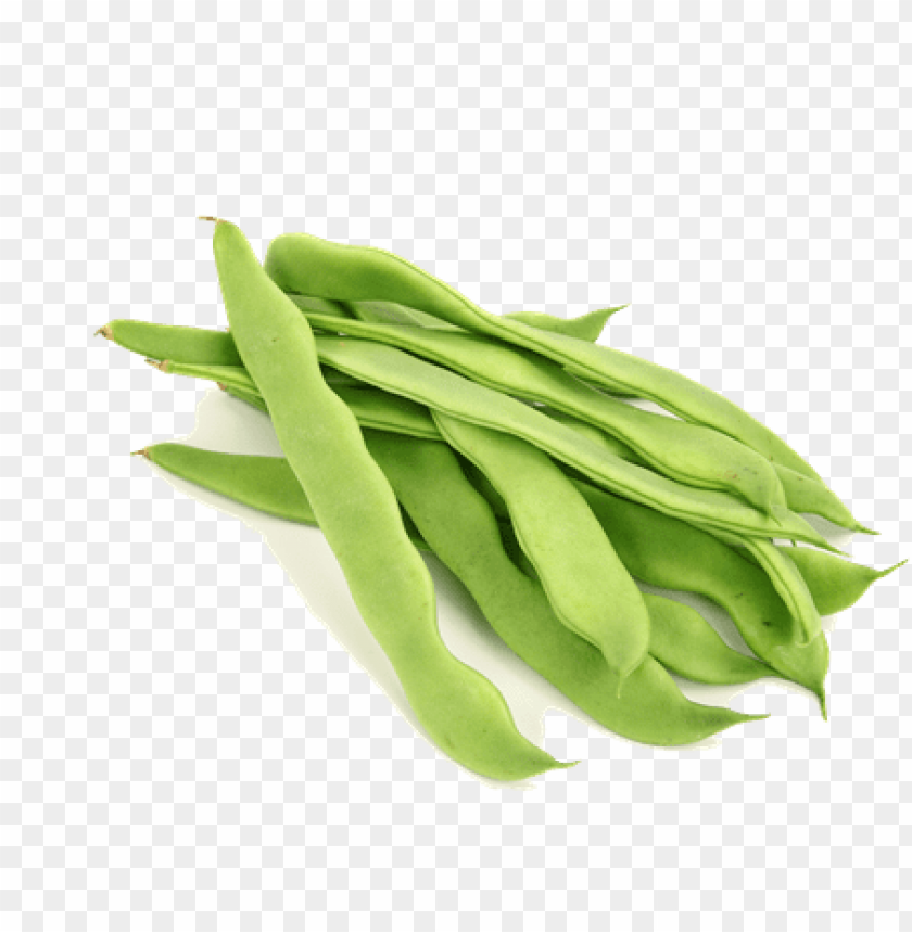 Free download | HD PNG taze fasulye PNG transparent with Clear ...
