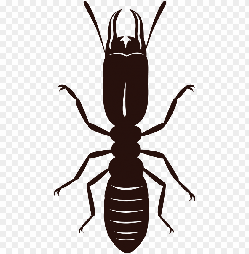Free download | HD PNG black and white termite insect with detailed ...