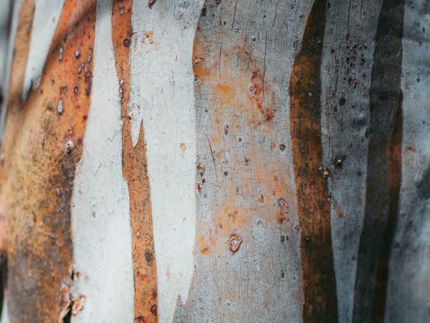 Free download | HD PNG texture spots rust metal 4k wallpaper | TOPpng
