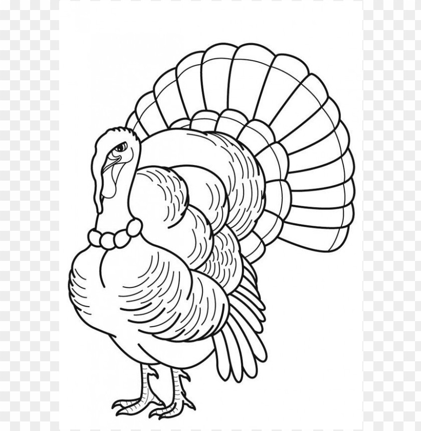 Free download | HD PNG thanksgiving coloring pages color PNG ...
