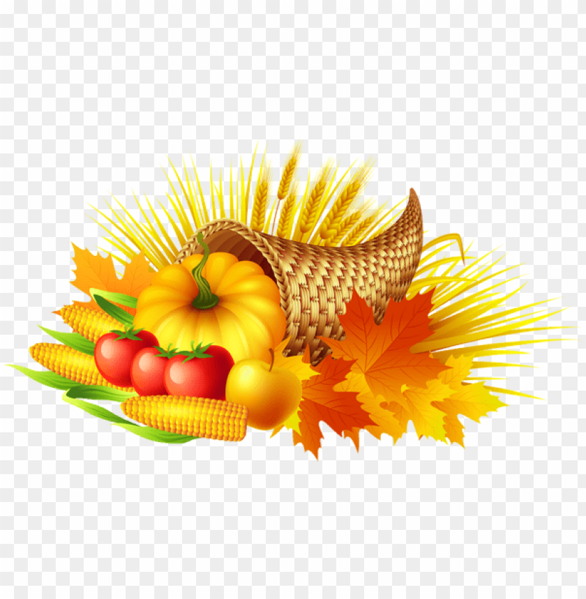 Free download | HD PNG thanksgiving cornucopia transparent png images ...