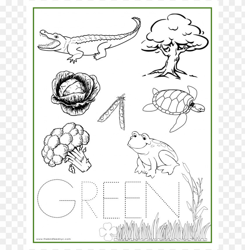 Free download | HD PNG the color green coloring pages PNG transparent ...