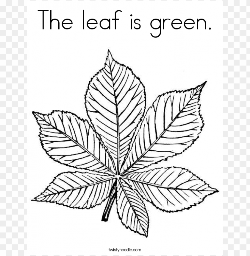 Free download | HD PNG the color green coloring pages PNG transparent ...