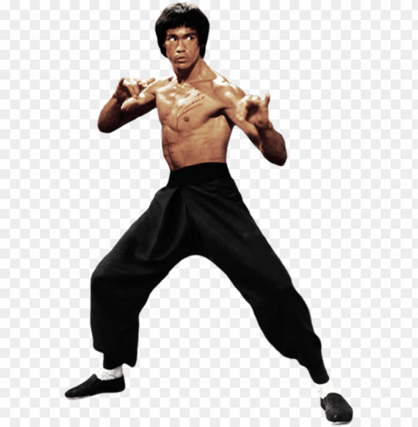 Free download | HD PNG the dragon fight by gdsfgs bruce lee photos ...