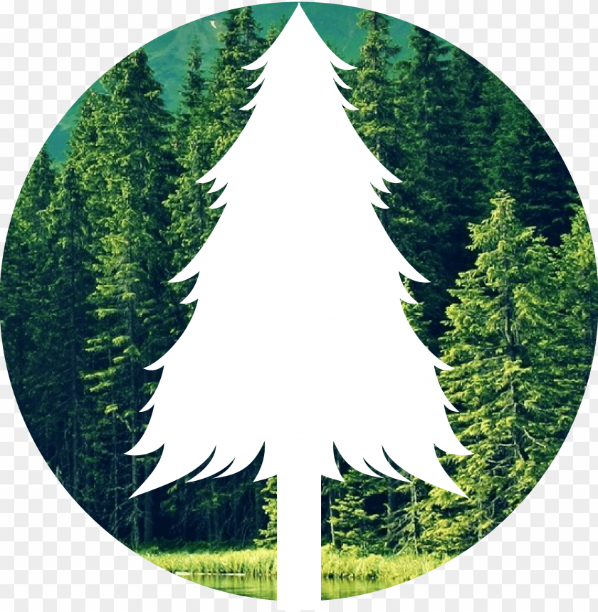 Free download | HD PNG the forest png save forest PNG transparent with ...