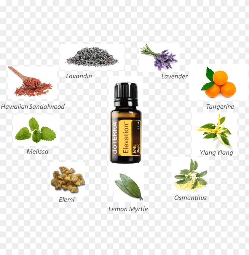 Free download | HD PNG the most common way that i use this oil is in a ...
