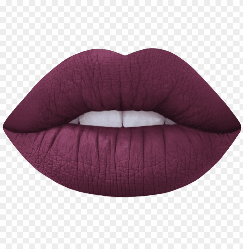 Free download | HD PNG the original liqu labial teddy bear PNG ...