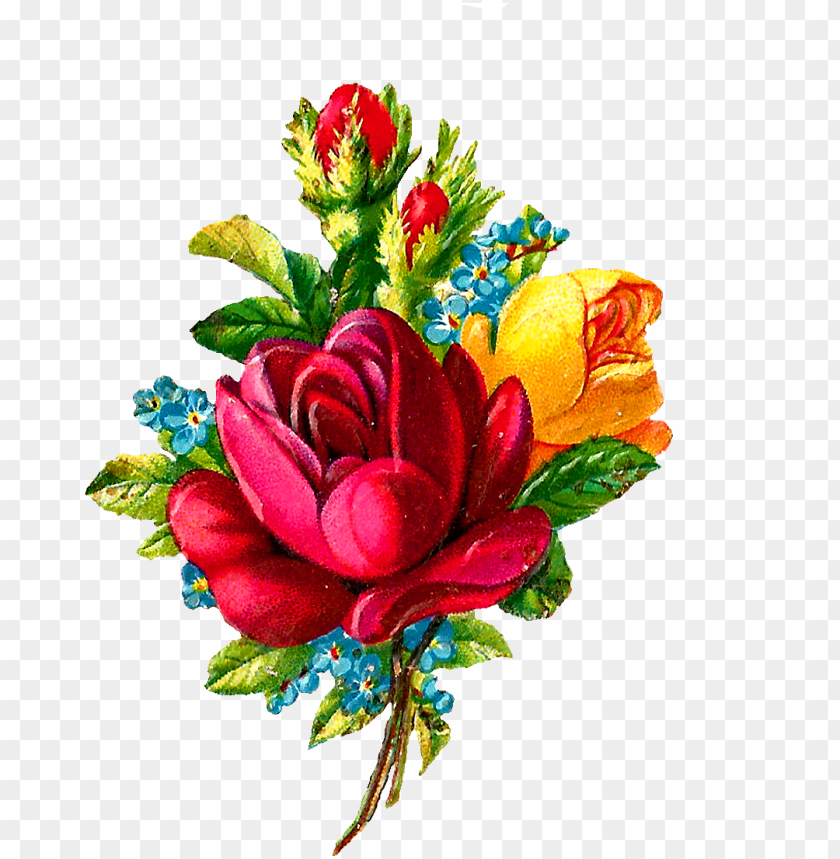 Free download | HD PNG the second digital rose image is of several red ...