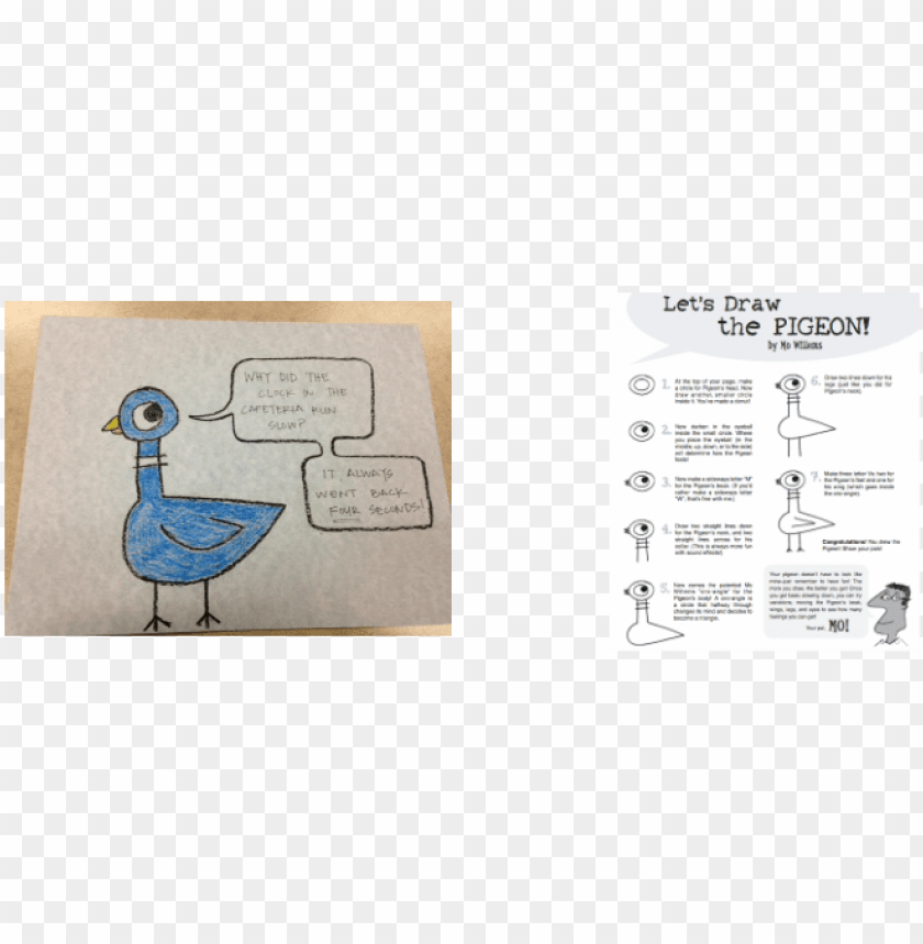 Free download | HD PNG the students will be able to draw pigeon and ...