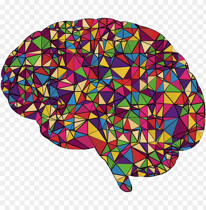 Brai PNG & clipart images | TOPpng