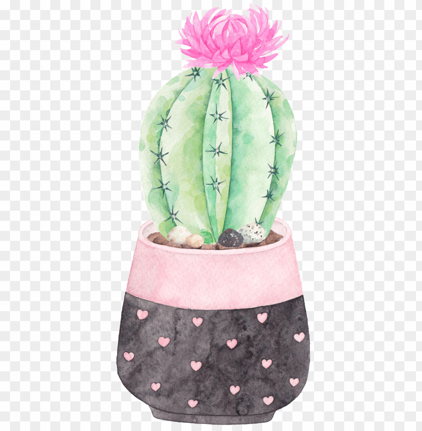 Free download | HD PNG this graphics is a flowering cactus png ...