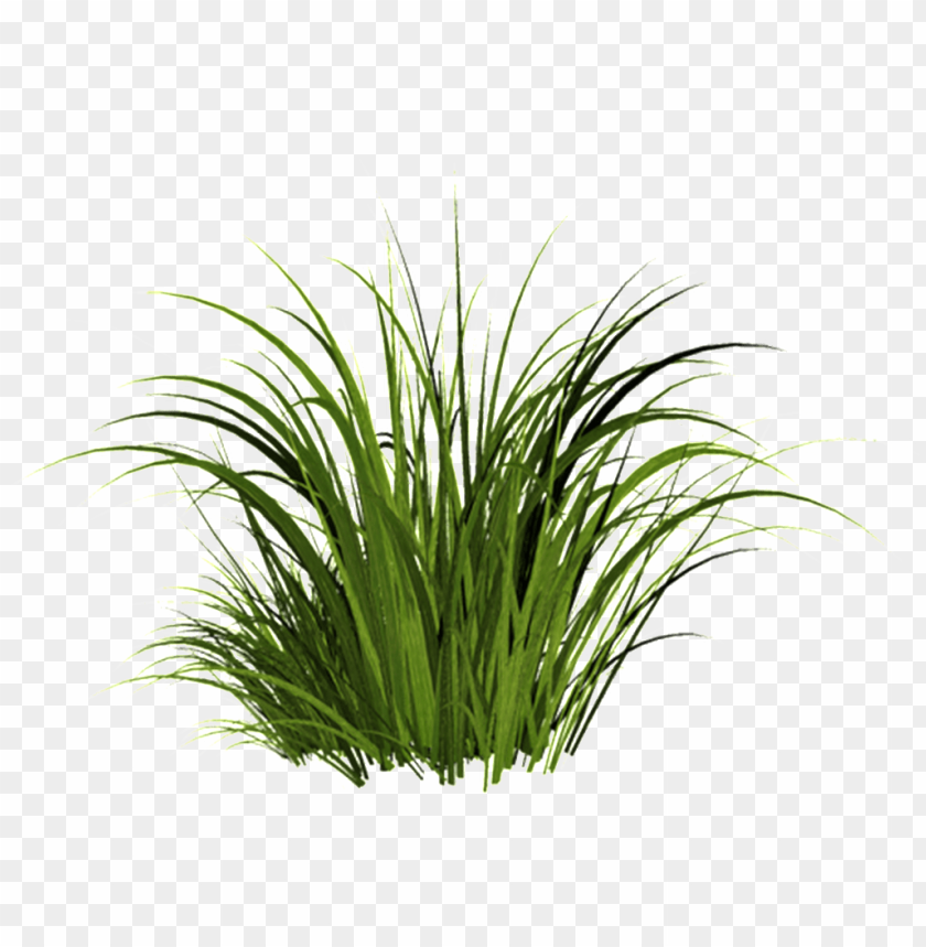 Free download | HD PNG this graphics is campfire grass transparent ...