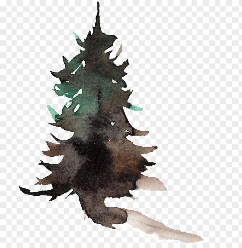 Free download | HD PNG this graphics is creative pine transparent ...