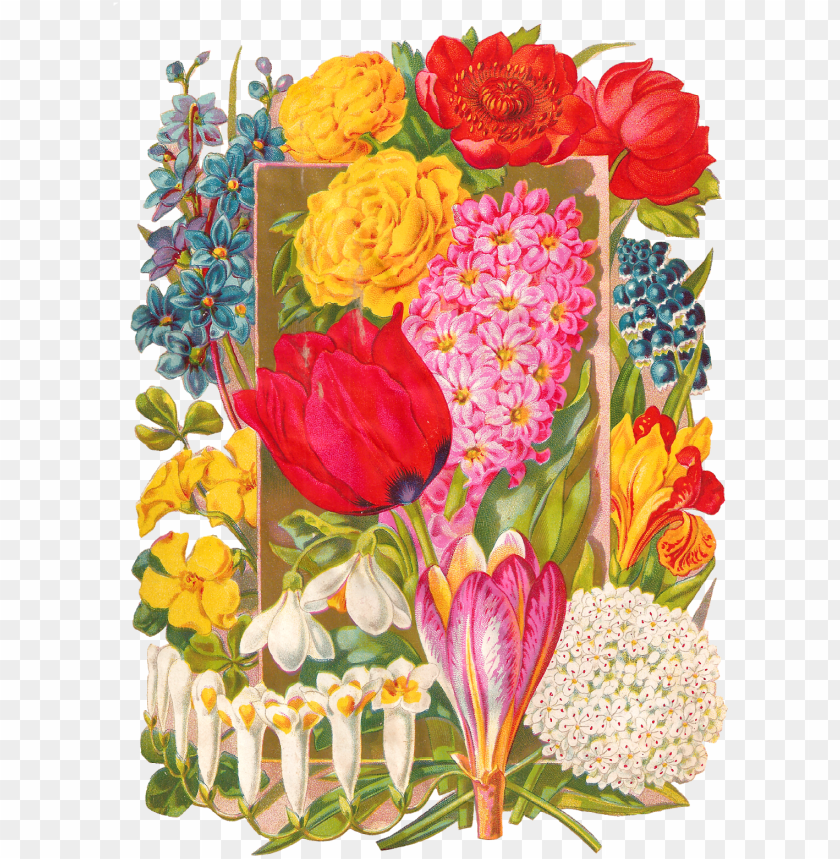 Photos Of Pretty Designs cutout PNG & clipart images | TOPpng