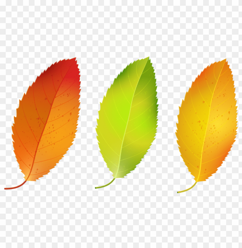 Home & Living Home Décor Set of three Fall Pictures etna.com.pe