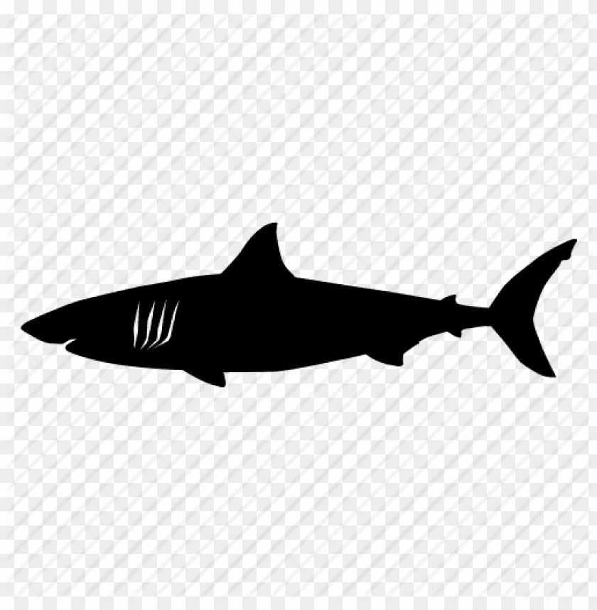 Free download | HD PNG tiburon vector PNG transparent with Clear ...