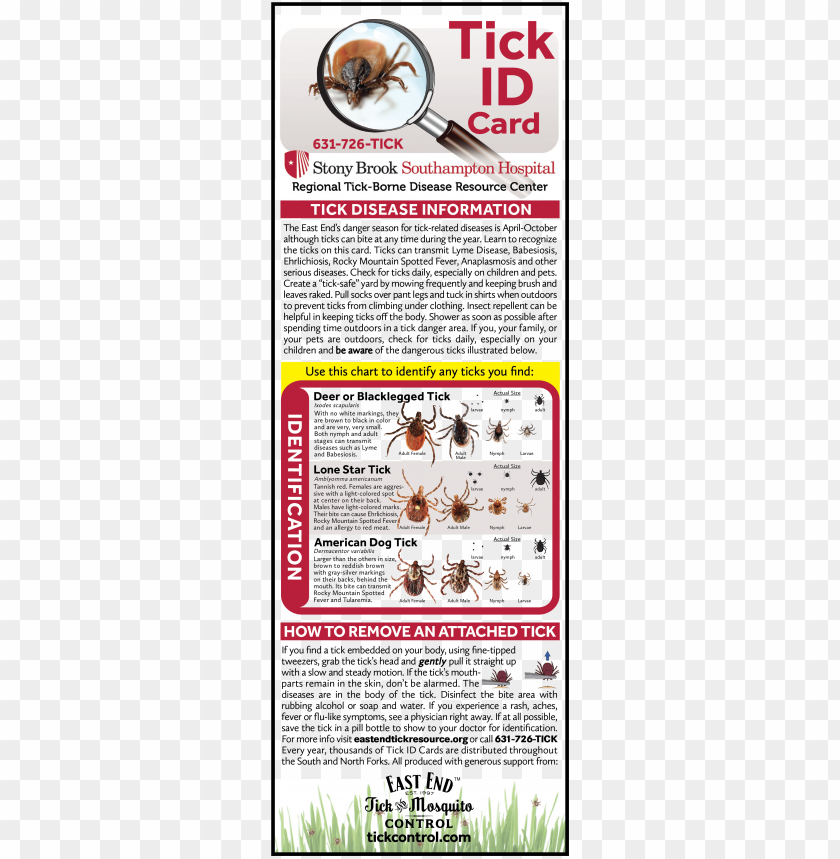 Free download | HD PNG tick types on long island deer tick PNG ...