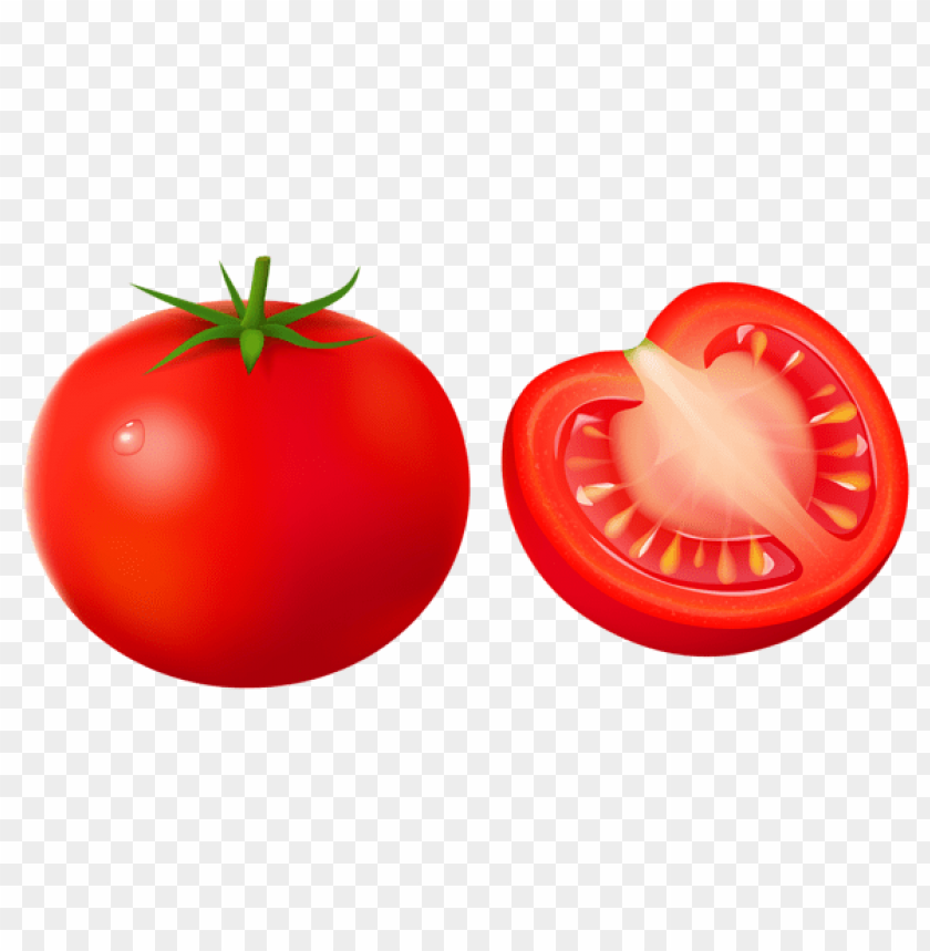 Free download | HD PNG Transparent tomato png vector illustration PNG ...