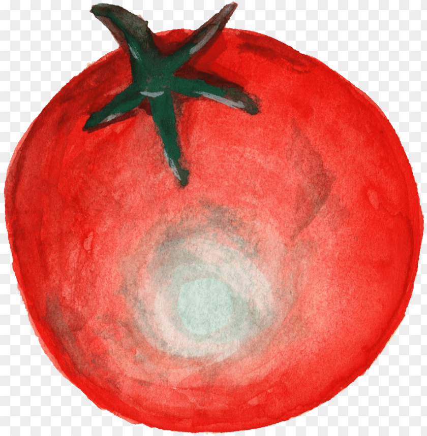 Free download | HD PNG tomato splat PNG transparent with Clear ...