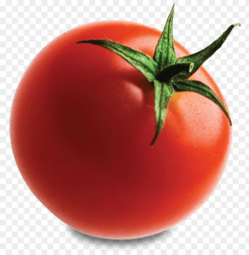 Free download | HD PNG tomato with no background PNG transparent with ...