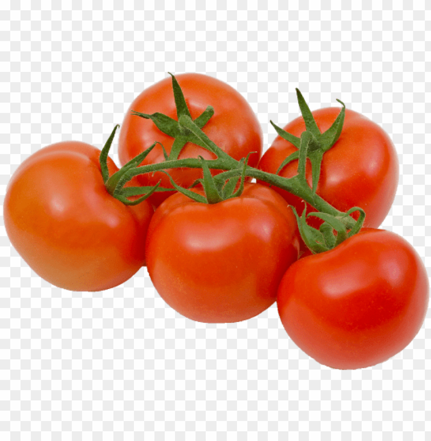 Free download | HD PNG tomatoes on the vine transparent PNG transparent ...