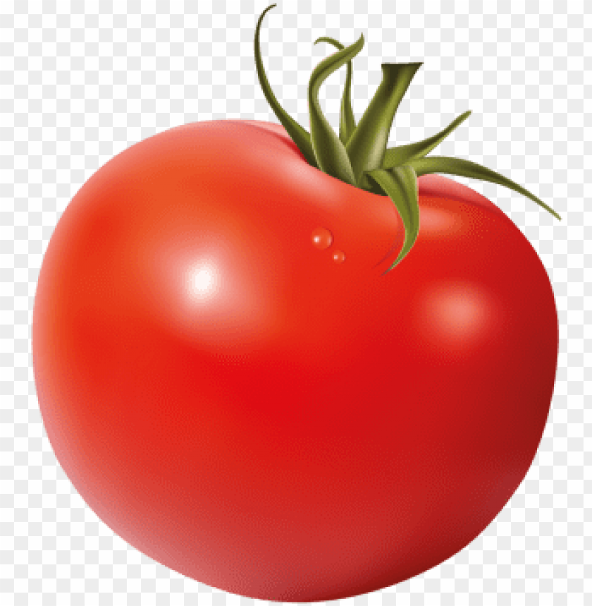Free download | HD PNG tomatoes plum tomato PNG transparent with Clear Background ID 273633 | TOPpng