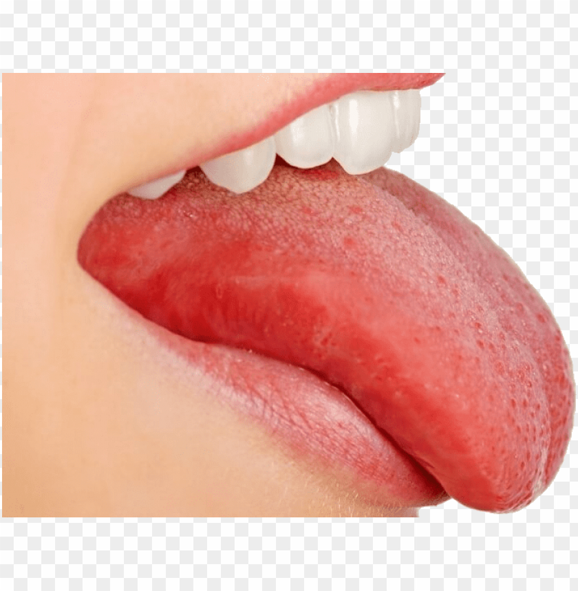 Free download | HD PNG Transparent background PNG image of tongue ...