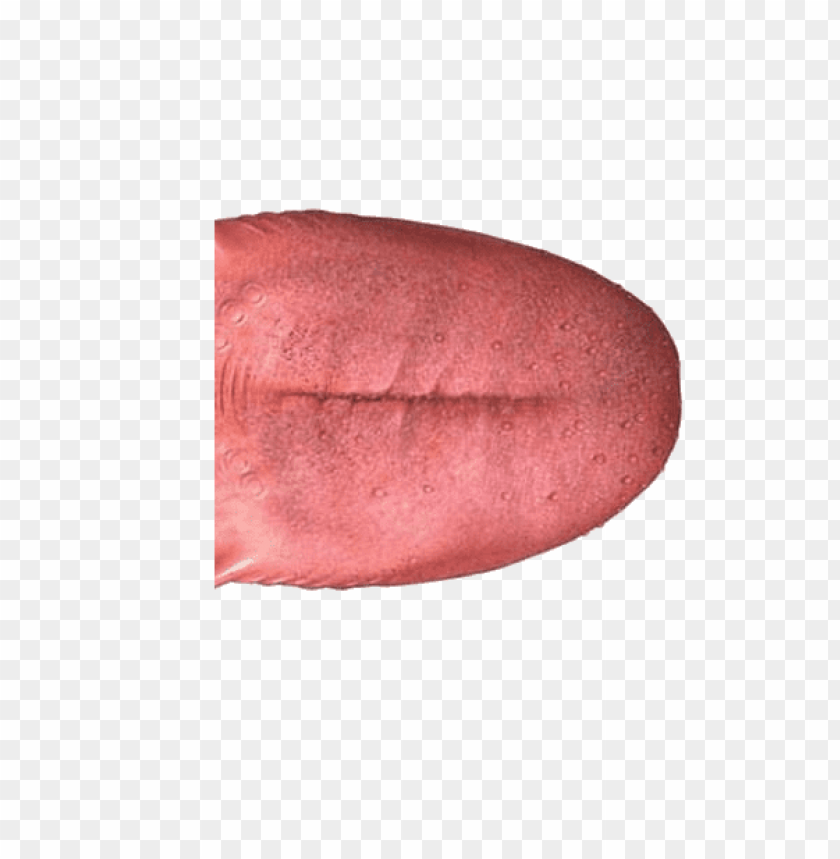 Free download | HD PNG tongue png PNG transparent with Clear Background ...