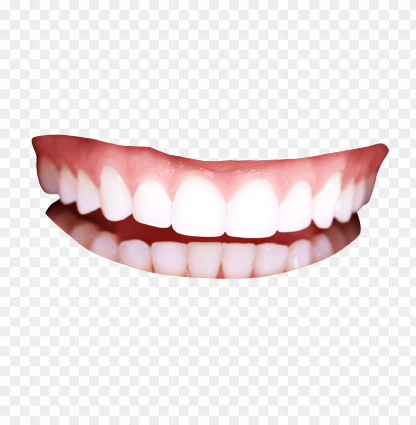 Free download | HD PNG tooth png PNG transparent with Clear Background ...