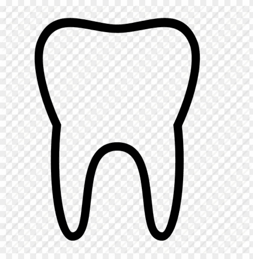 Free download | HD PNG tooth png PNG transparent with Clear Background ...