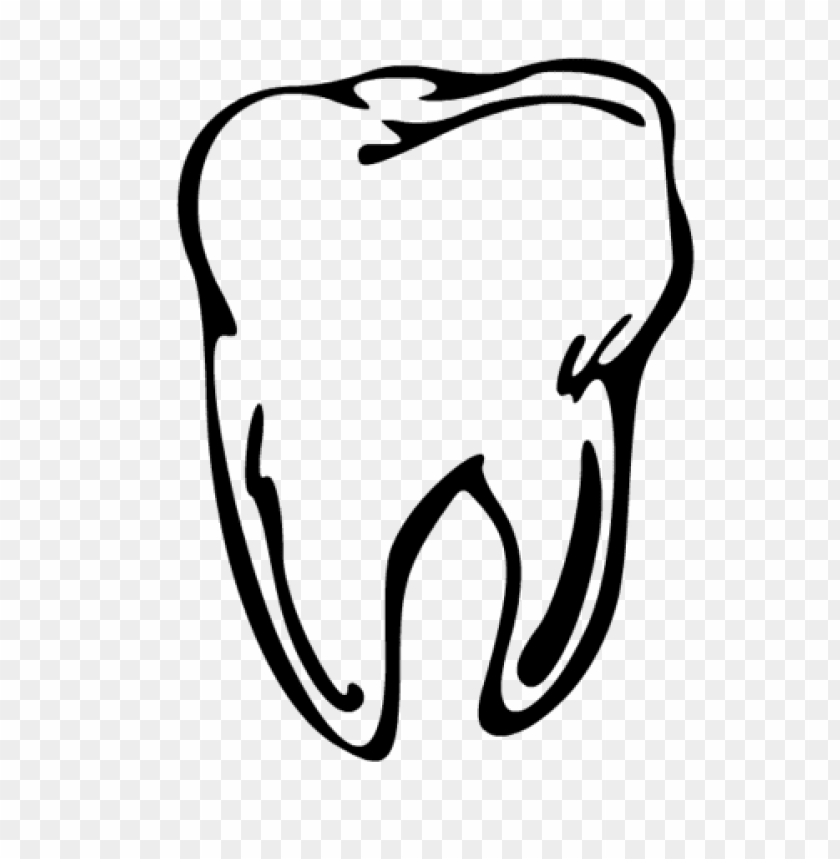 Free download | HD PNG tooth png PNG transparent with Clear Background ...
