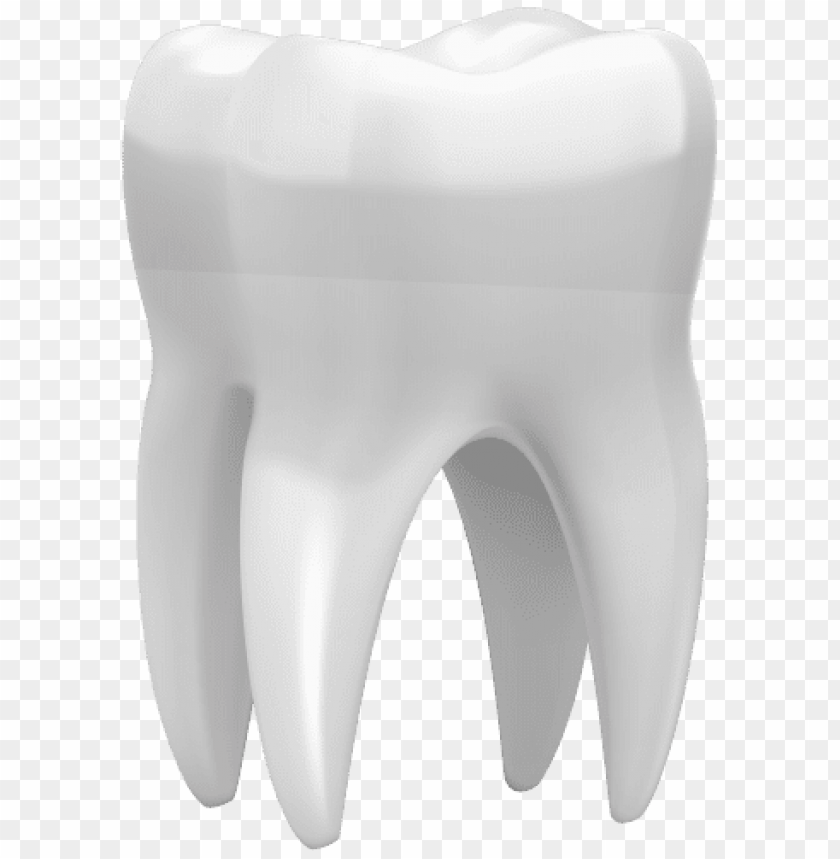 Free download | HD PNG tooth png PNG transparent with Clear Background ...