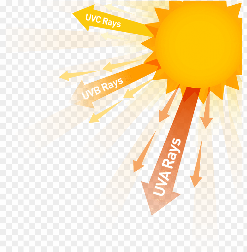Free download | HD PNG top five questions on skin cancer ultraviolet ...