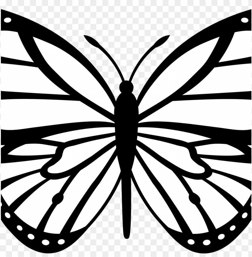 Free download | HD PNG traceable butterfly images with free butterfly ...