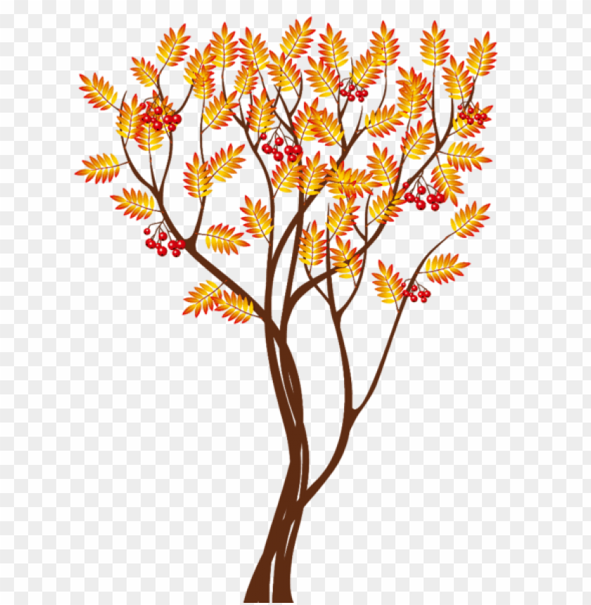 Free download | HD PNG PNG image of thin tree with yellow autumn leaves ...