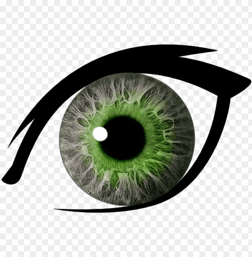 Free download | HD PNG transparent background horror eyes PNG ...