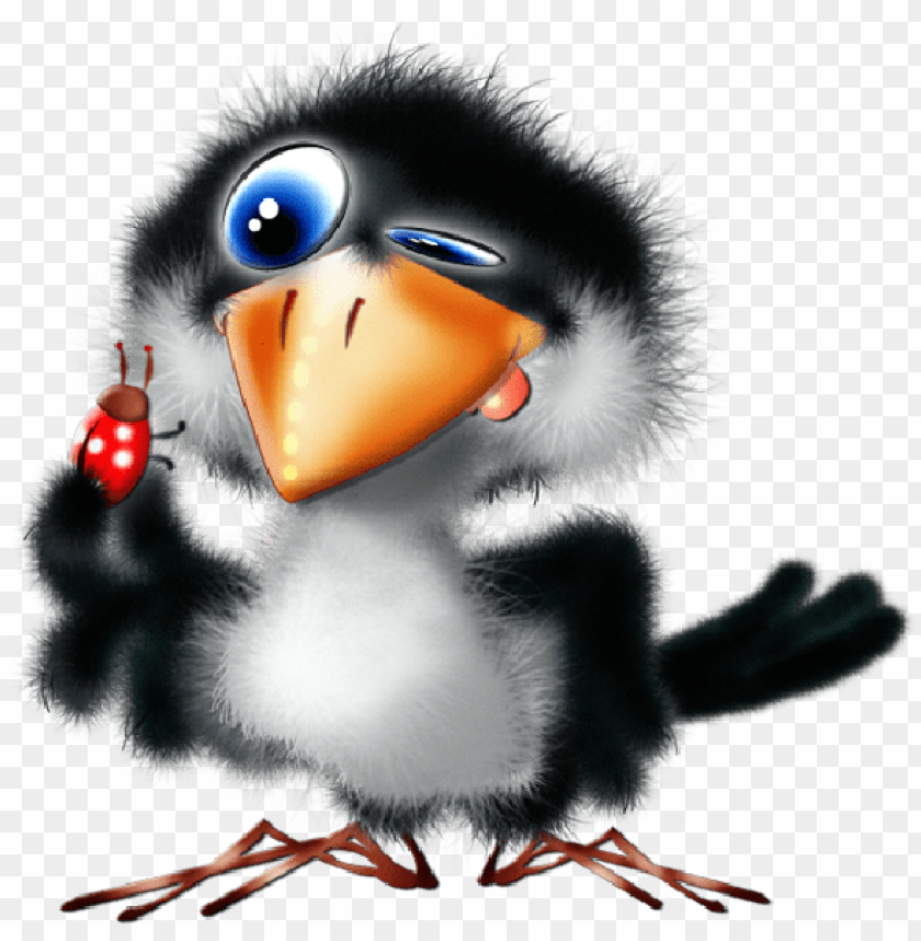 Free download | HD PNG transparent backgroundcute birds PNG transparent ...