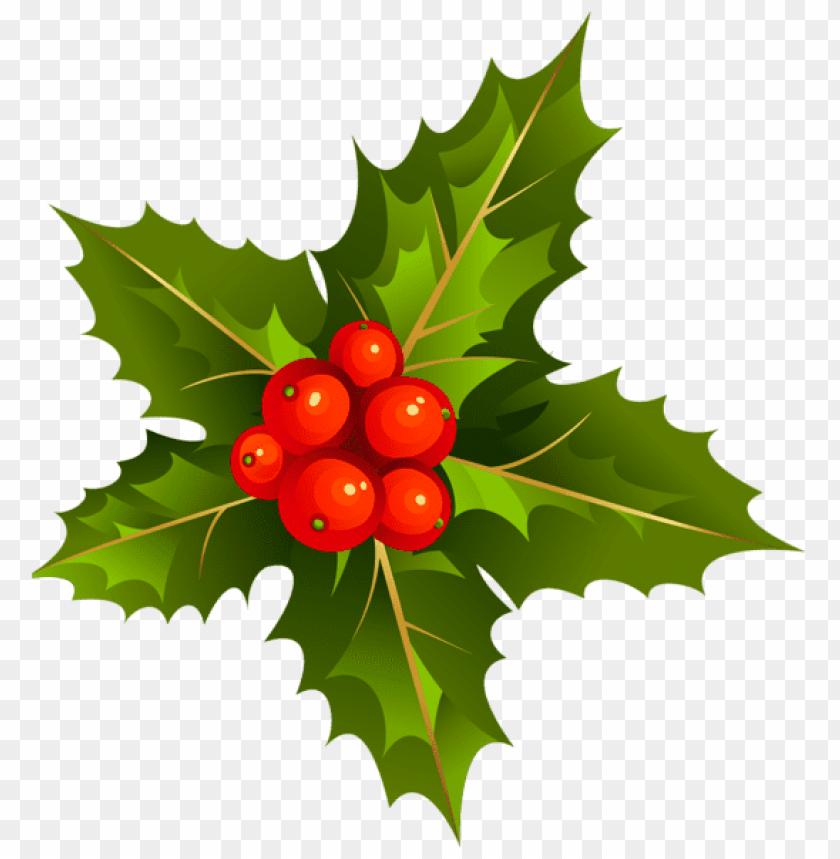 Free download | HD PNG transparent christmas mistletoe PNG Images 40961 ...