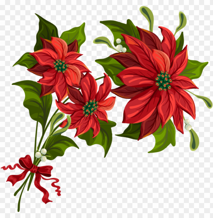 Free download | HD PNG transparent christmas png poinsettia PNG Images 40059 | TOPpng