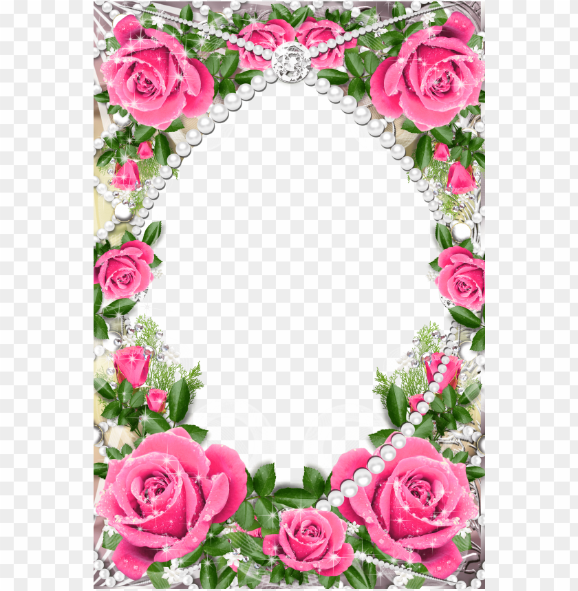 Free download | HD PNG transparent delicate frame with pink roses ...