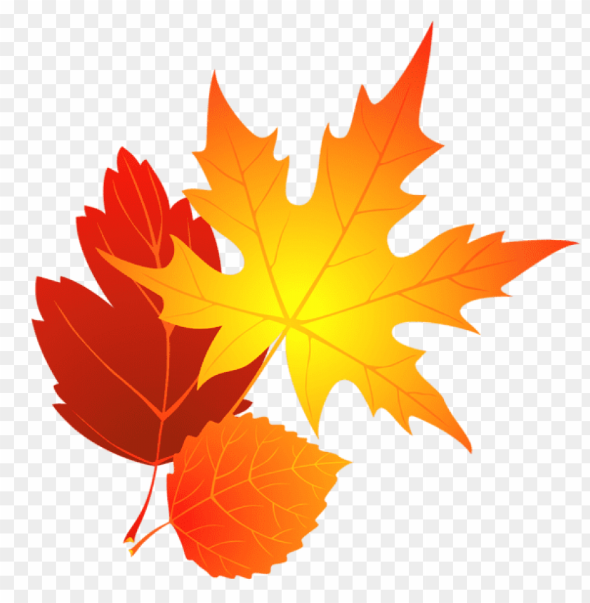 Free download | HD PNG transparent fall leaves clipart png photo ...