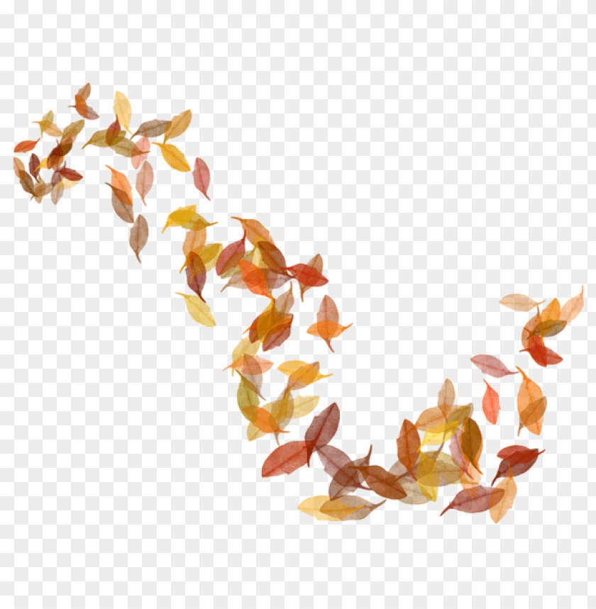 Free download | HD PNG transparent fall leaves clipart png photo ...