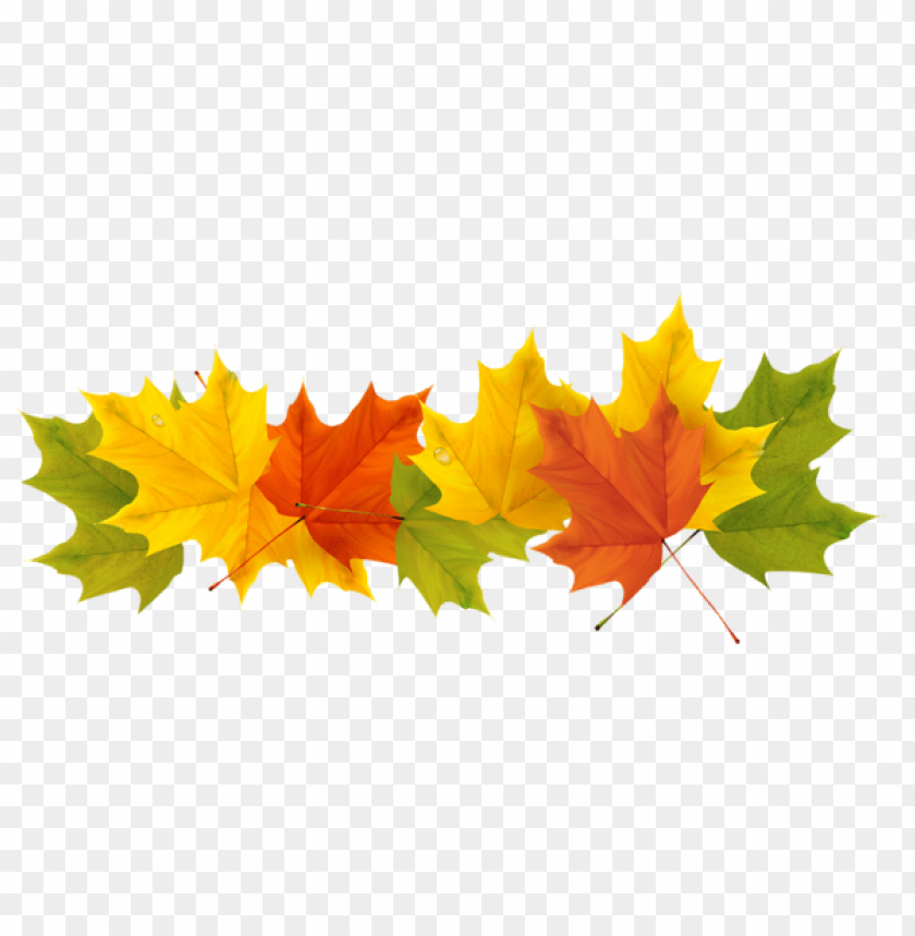 Free download | HD PNG transparent fall leaves clipart png photo ...