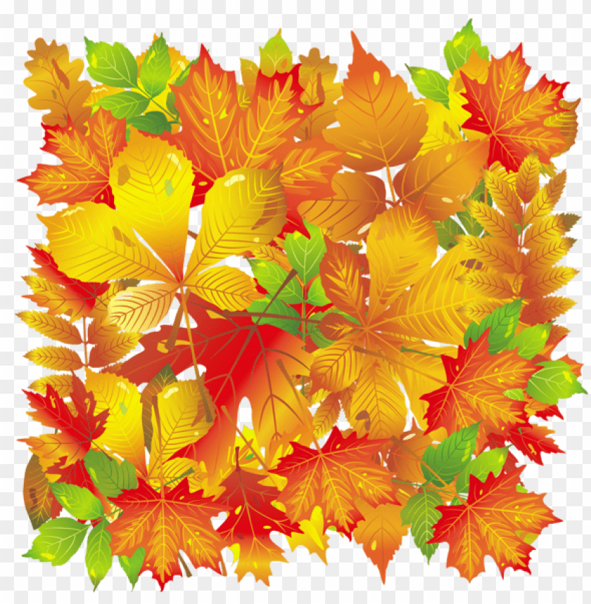 Free download | HD PNG transparent fall leaves clipart png photo ...