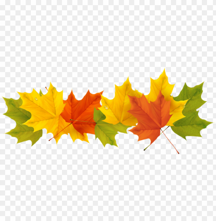 Free download | HD PNG transparent fall leaves png picture fall leaves ...